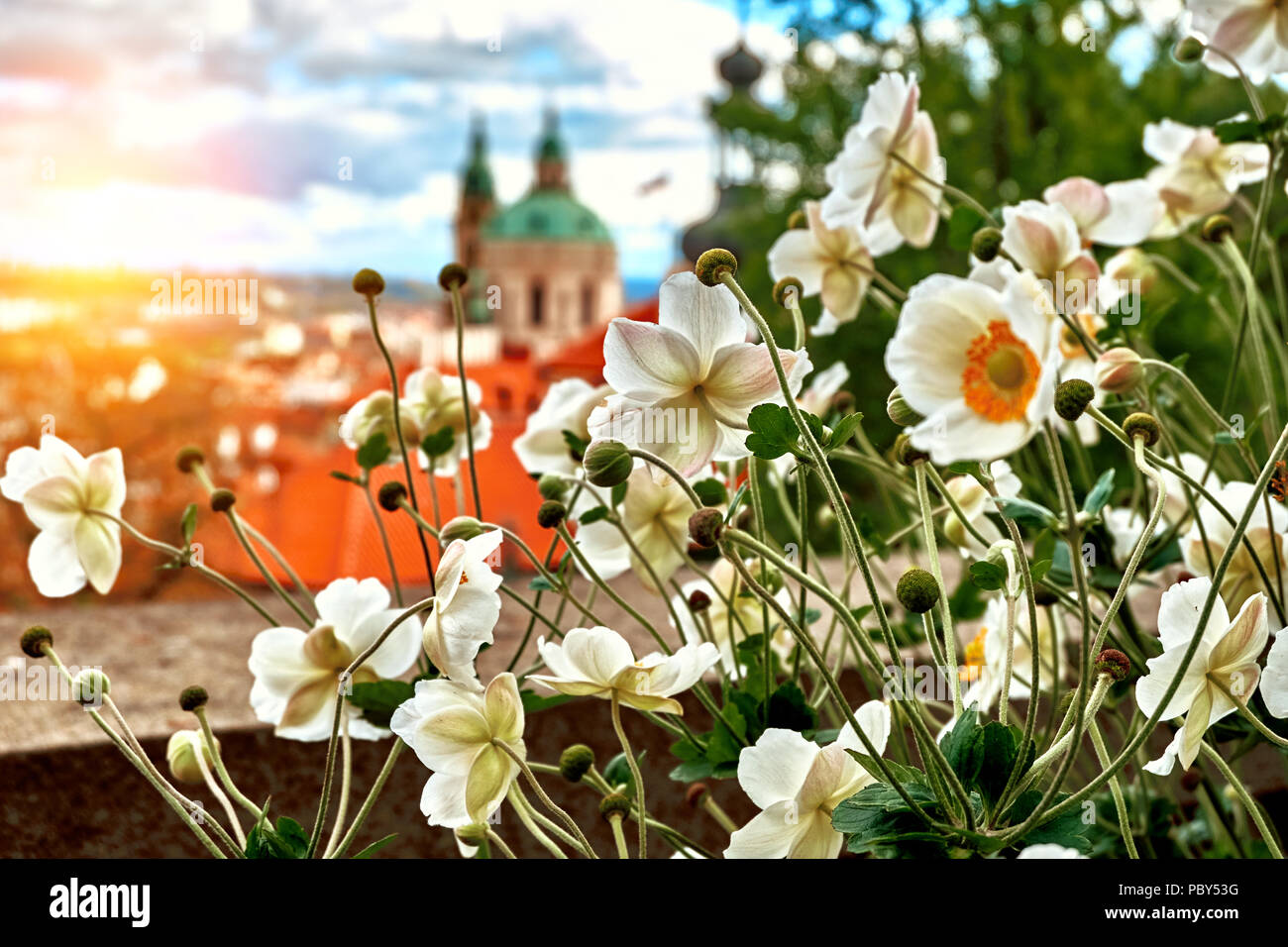 Prague castle flowers High Resolution Stock Photography and Images - Alamy