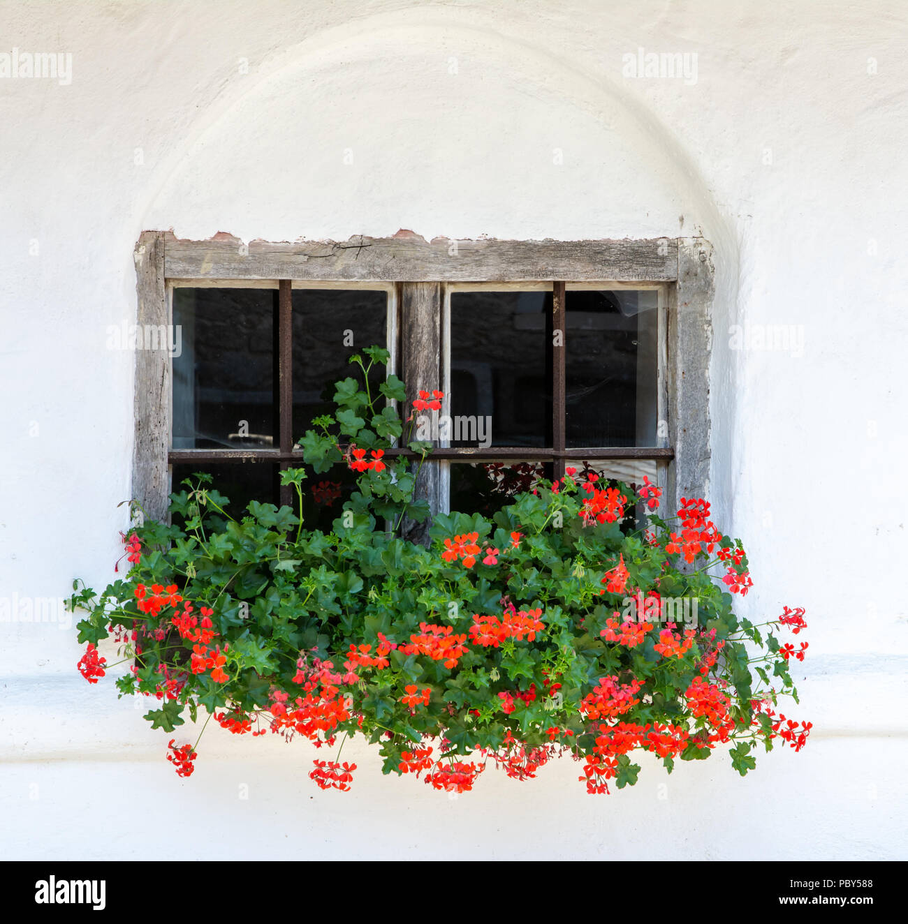 Vintage window of an historic old house, decorated with flowers Stock ...