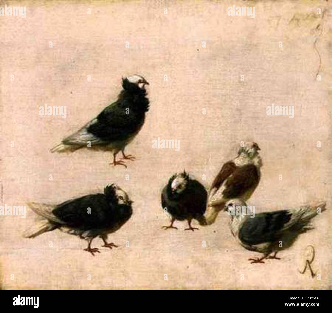 Jose ruiz blasco hi-res stock photography and images - Alamy