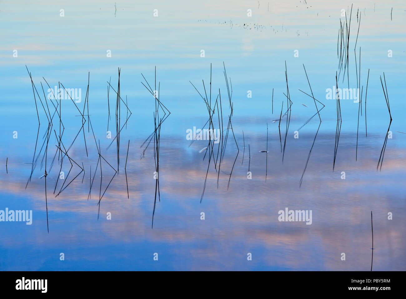 Morning sky reflected in the shallows of Halfway Lake, Halfway Lake ...