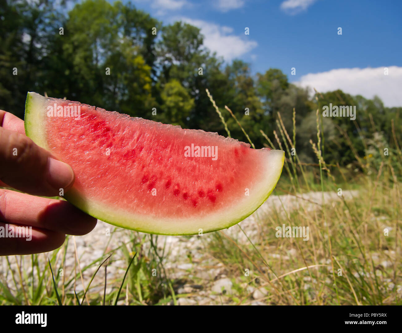Watermelone with background hi-res stock photography and images - Alamy