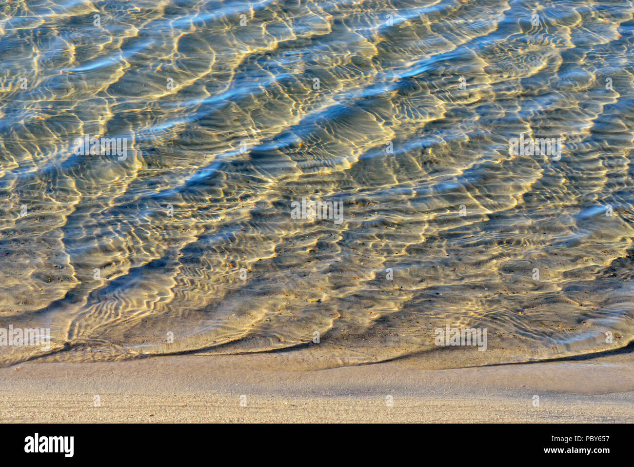 Wind ripples on Pine Lake near the sandy shoreline, Wood Buffalo ...
