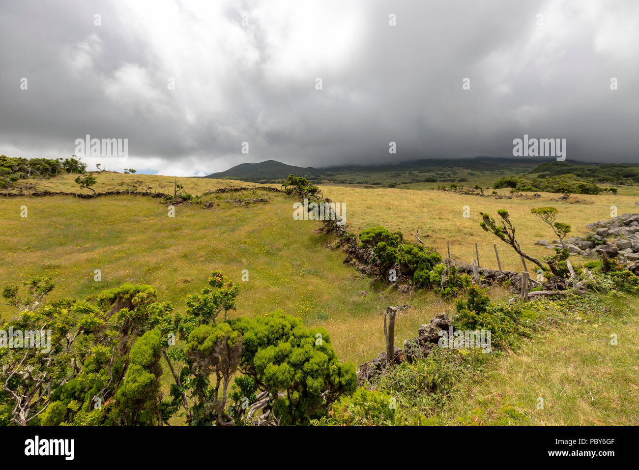 Landscape along EN3 longitudinal road northeast of Mount Pico, Pico ...