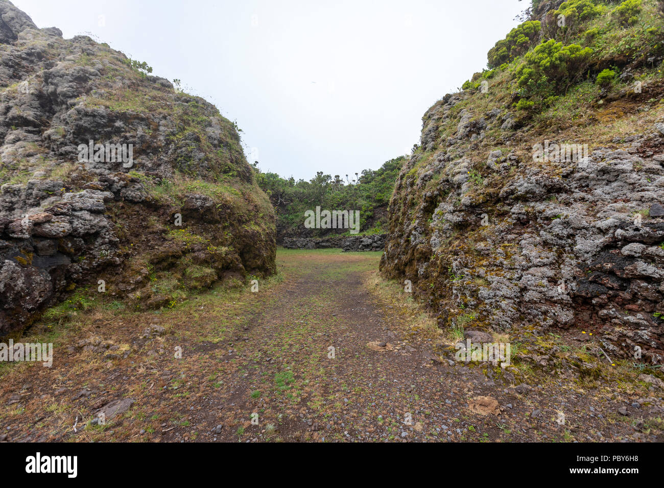 Small old volcano crater used for cattle in Pico island, Azores ...