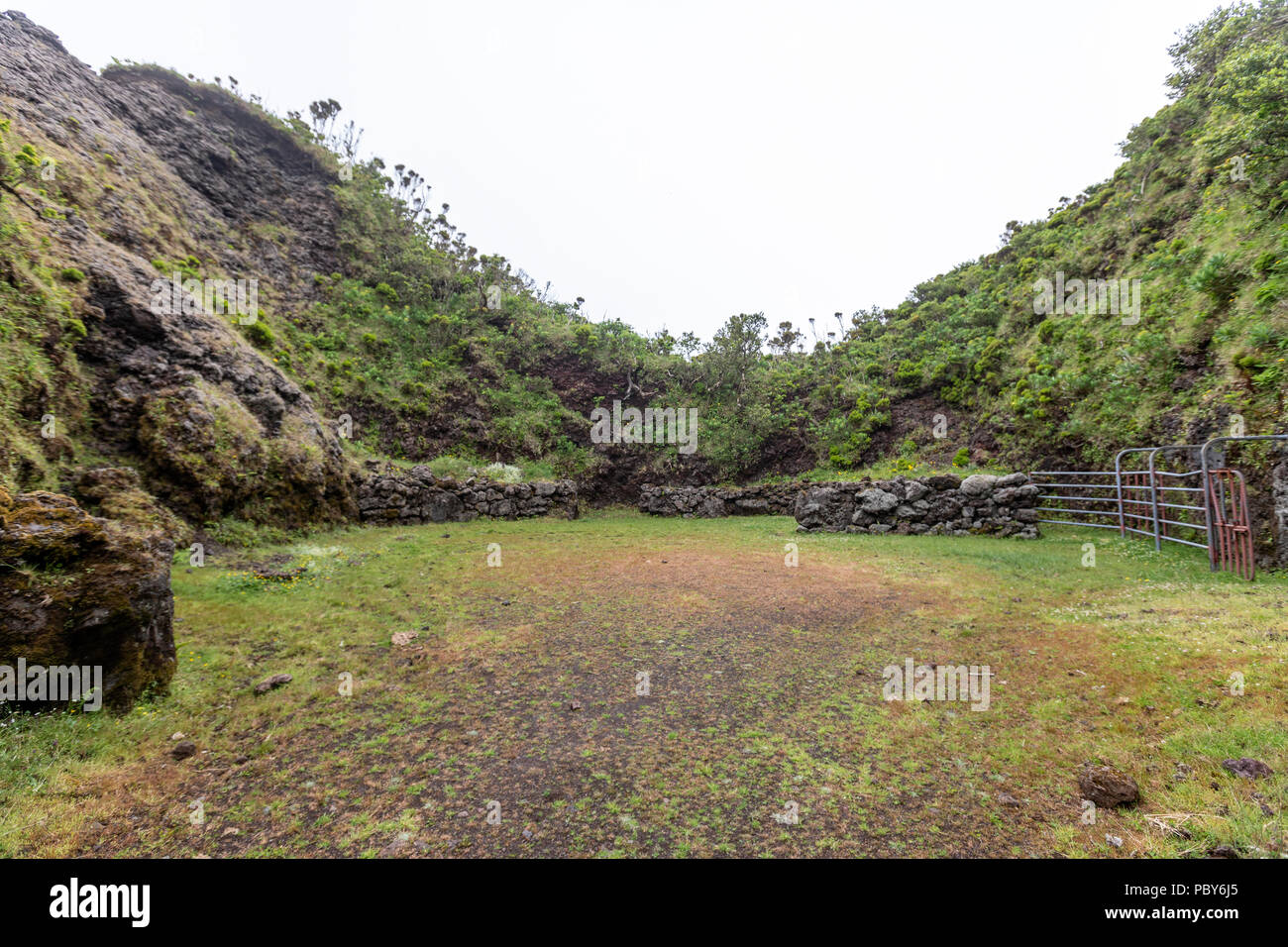 Small old volcano crater used for cattle in Pico island, Azores ...