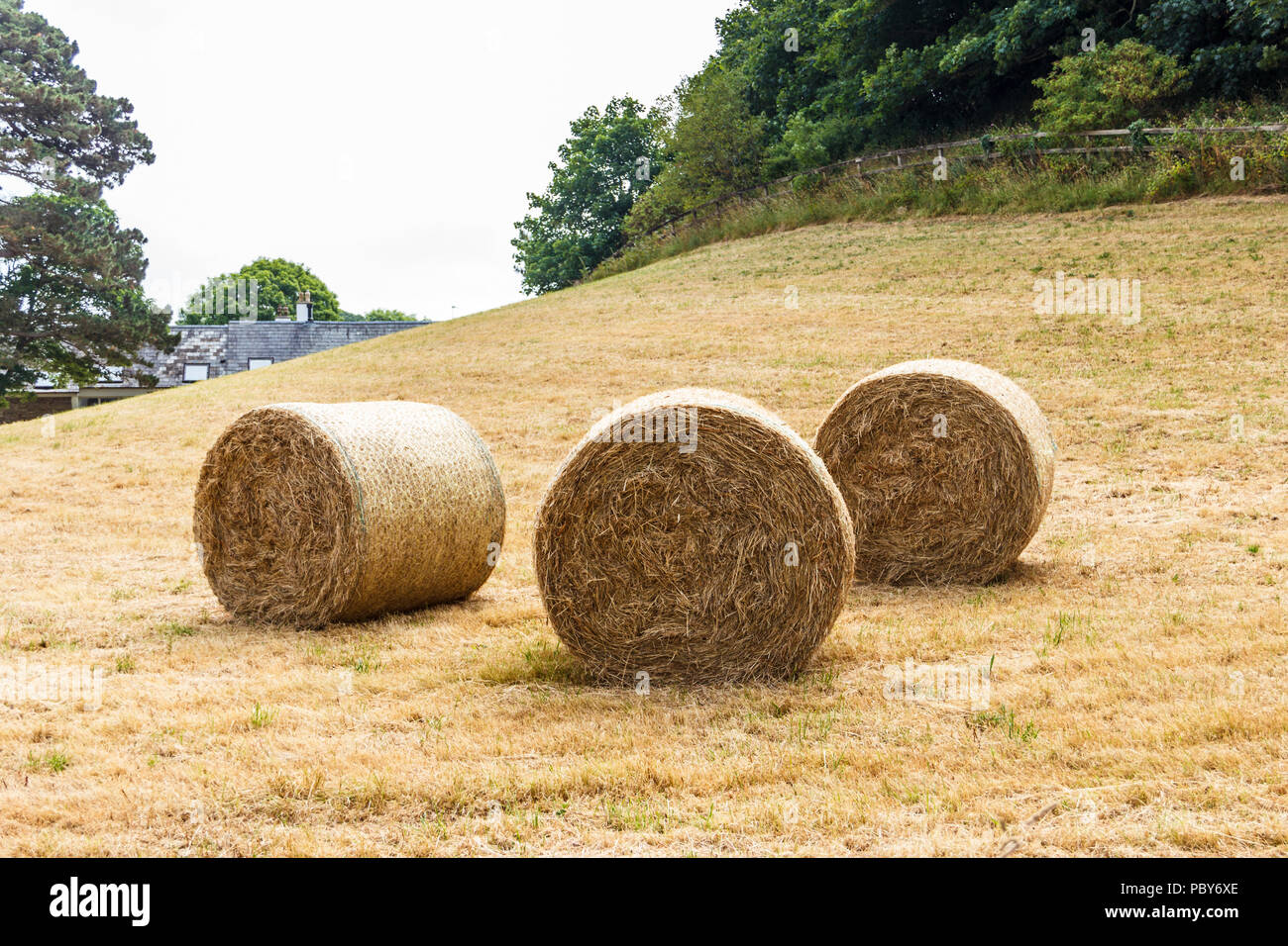 Cylindrical bale hi-res stock photography and images - Alamy