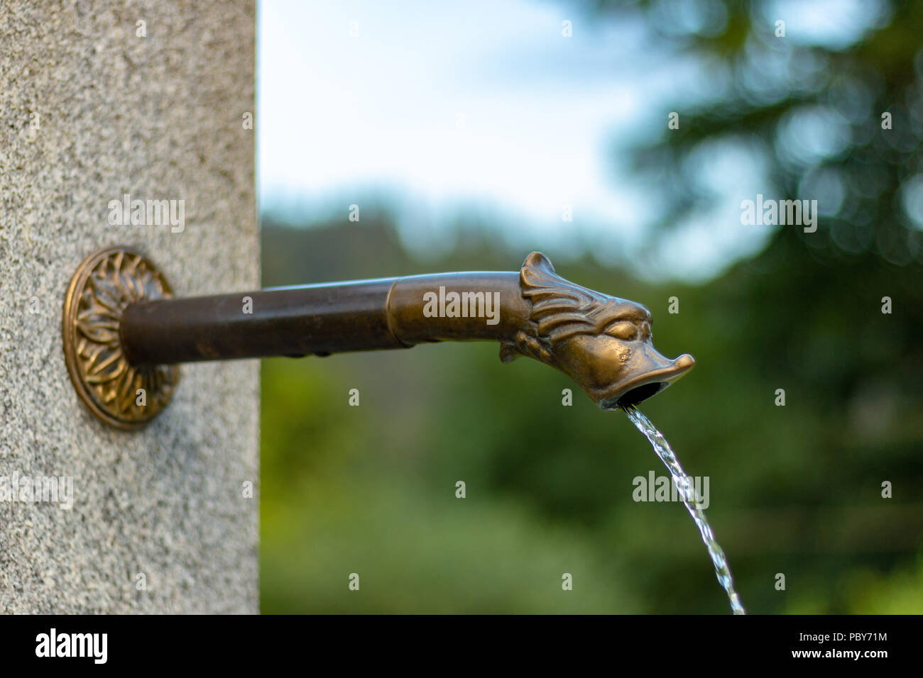 Black Forest Spring Water Stock Photo - Alamy