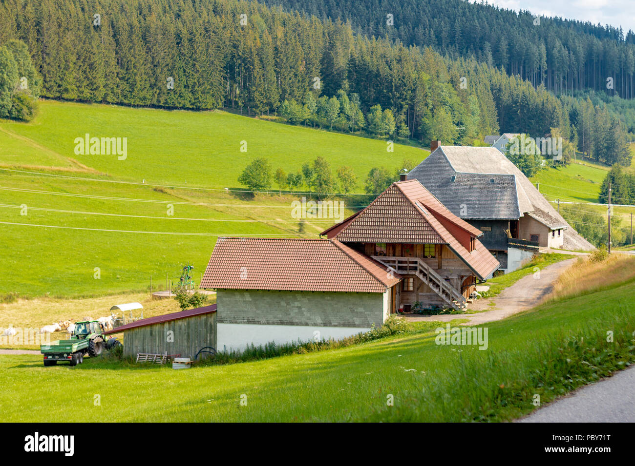 Traditional farm located in the Black Forest Germany on a beautiful ...