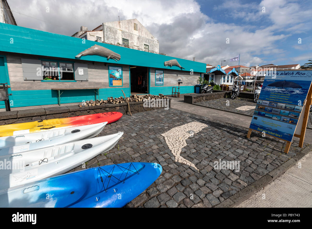 Whale watch pico centre tour hi-res stock photography and images - Alamy
