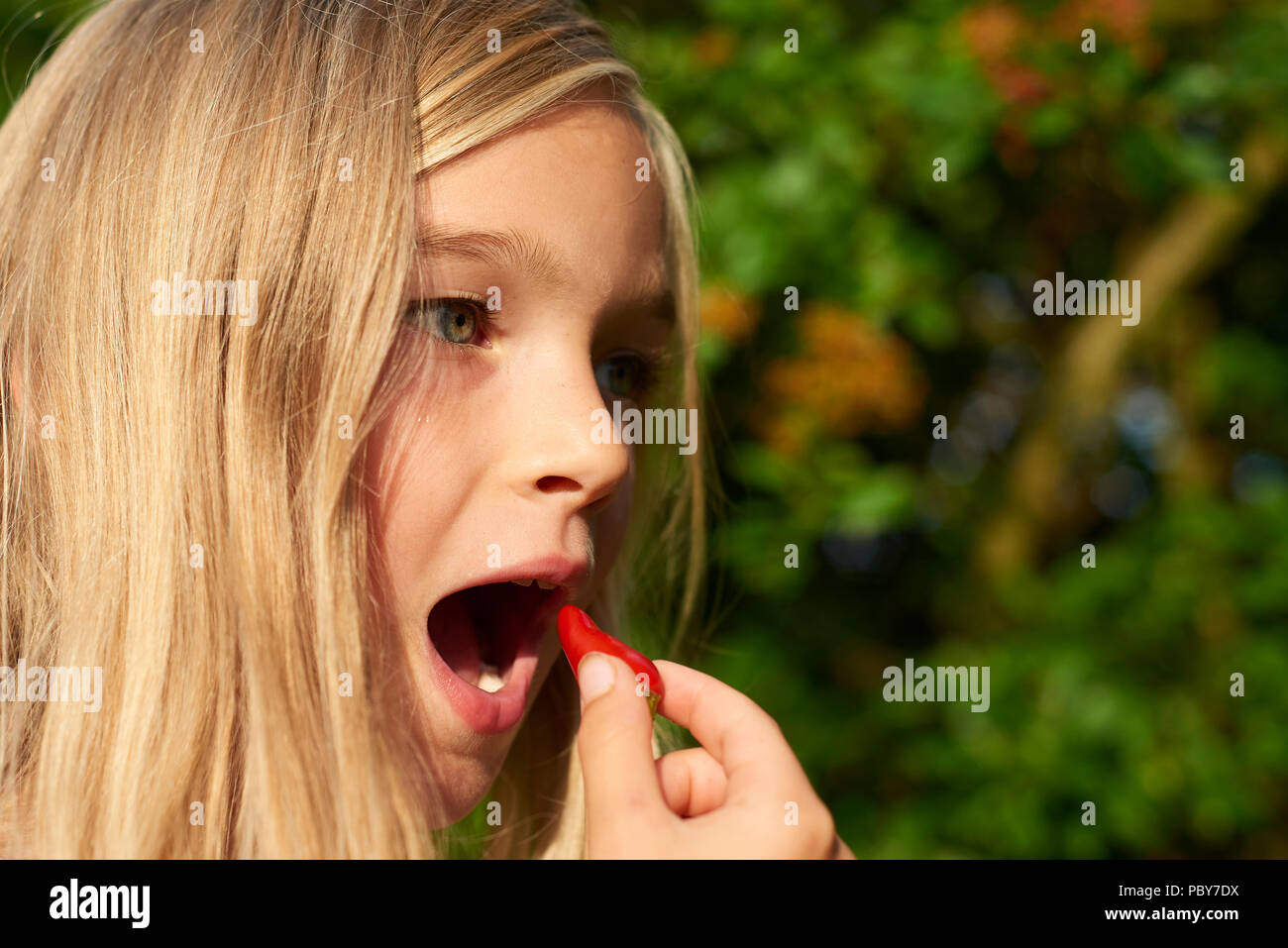 Child cute girl holding fresh raw chilli pepper and preparing to eat it ...