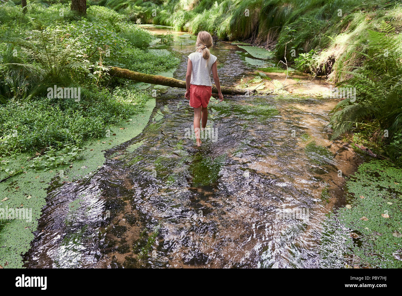 Child cute blond girl playing in the creek. Gril walking in forest ...