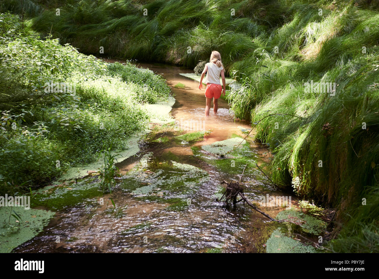 Child cute blond girl playing in the creek. Gril walking in forest ...