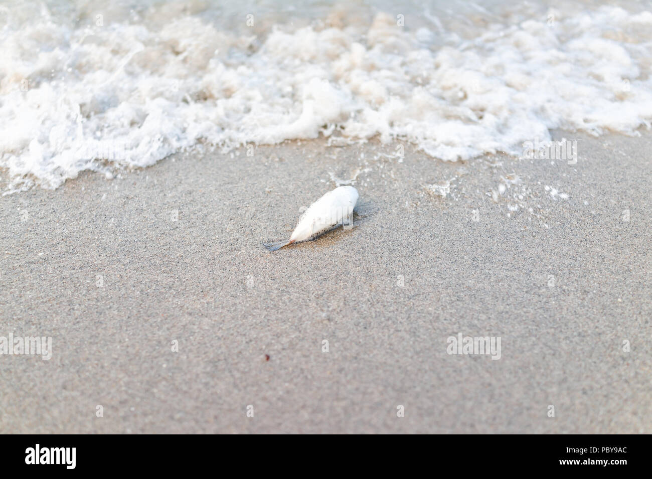 Dead Body Lying Down High Resolution Stock Photography and Images - Alamy