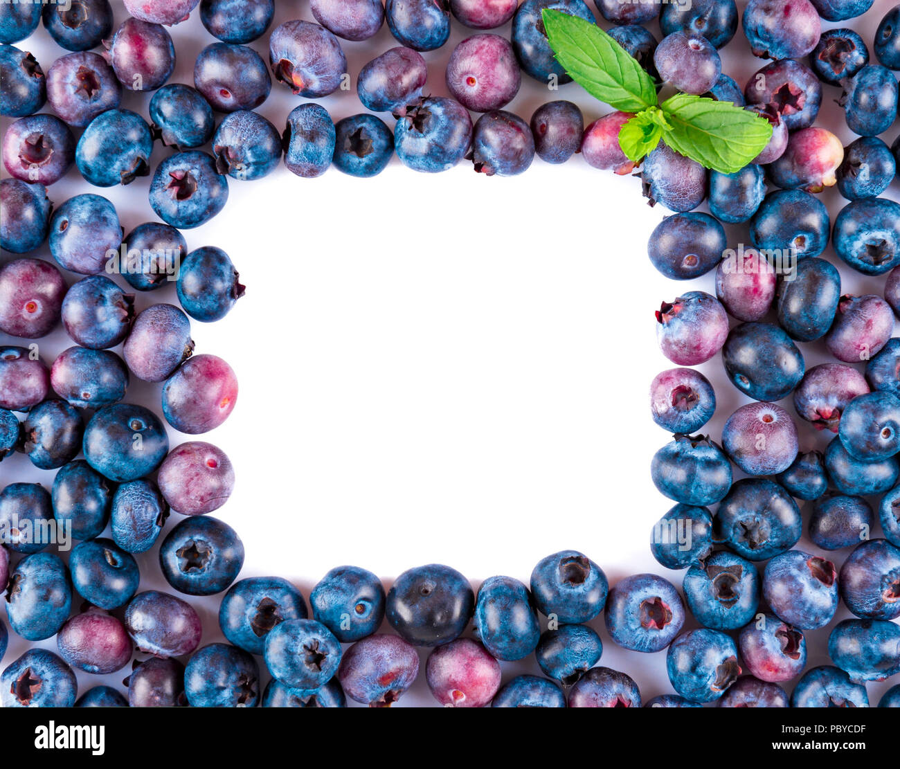 Fresh blueberries and leaves, berry frame isolated on white background ...