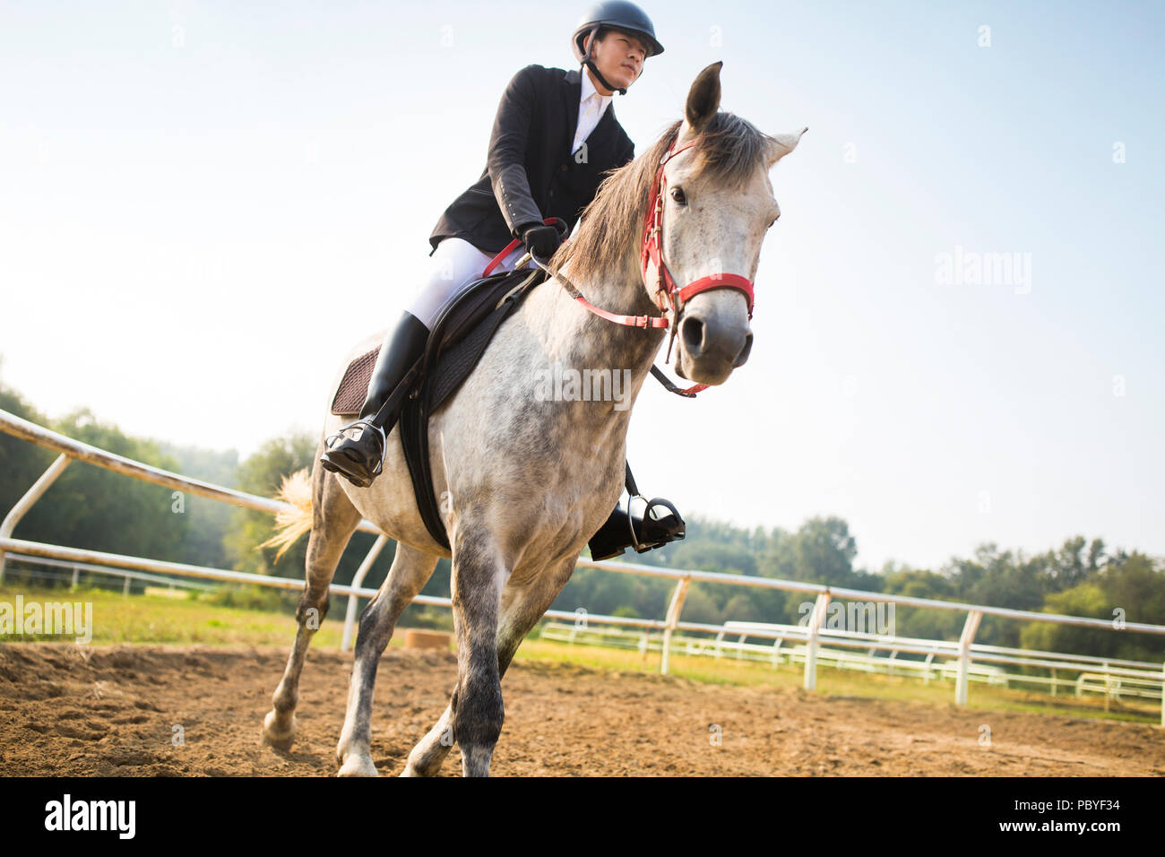 Young Chinese man riding horse Stock Photo - Alamy
