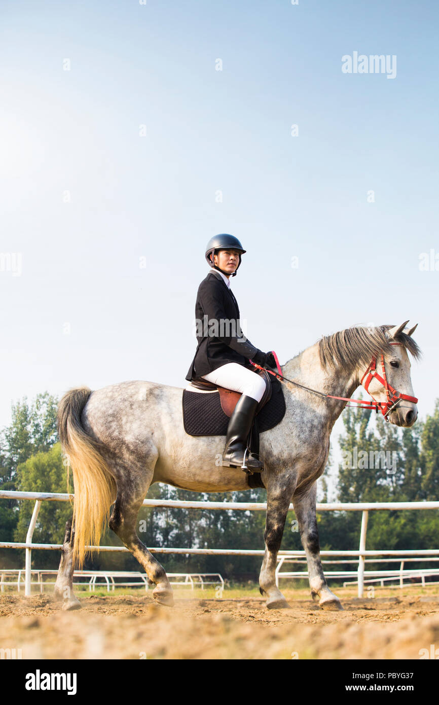 Chinese young man riding horse hi-res stock photography and images - Alamy