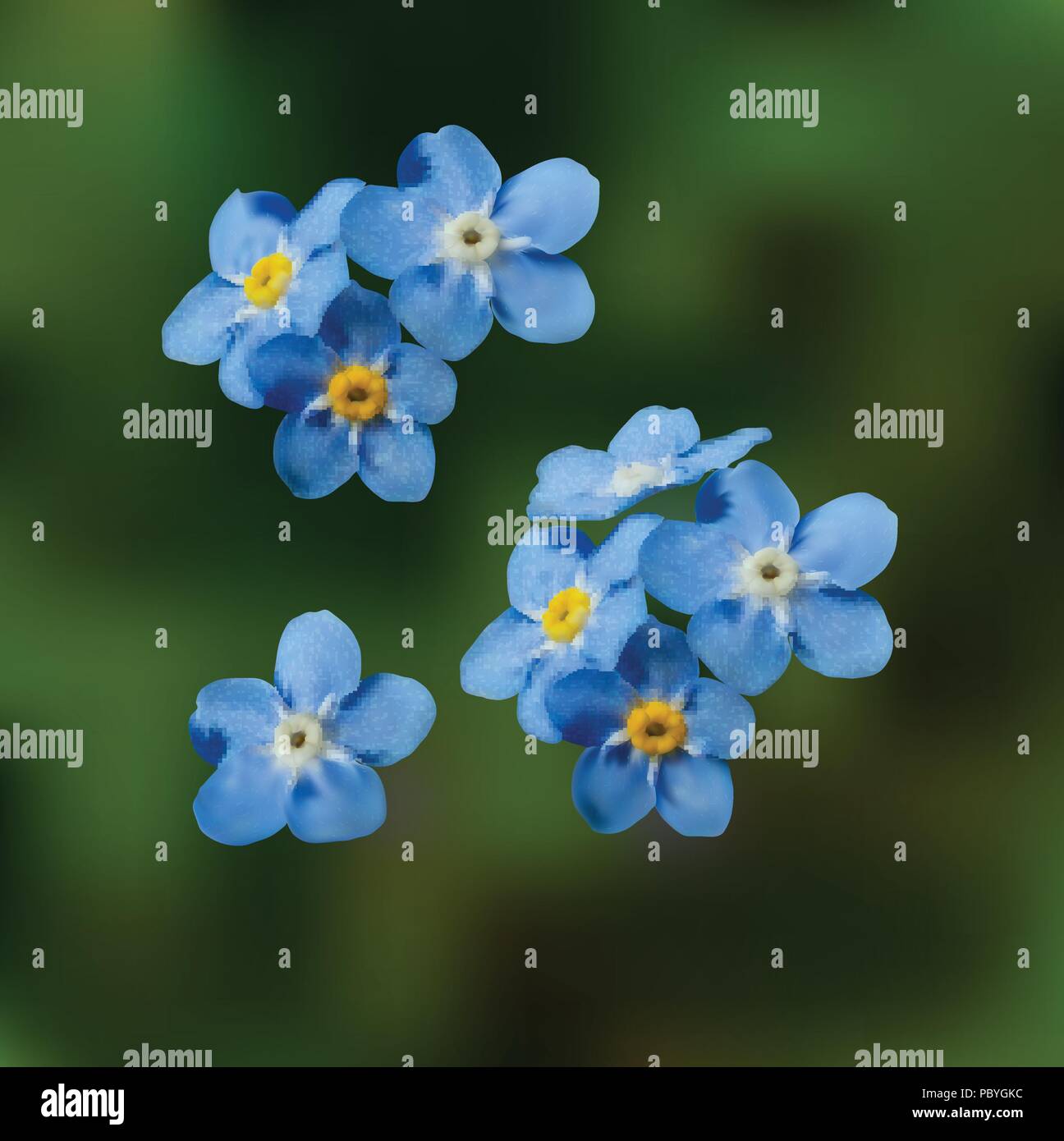 Blue forget me not spring flowers Stock Vector Image & Art - Alamy