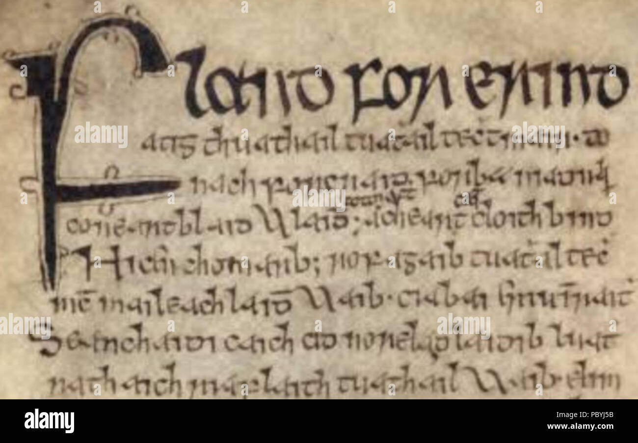 Flann hi-res stock photography and images - Alamy