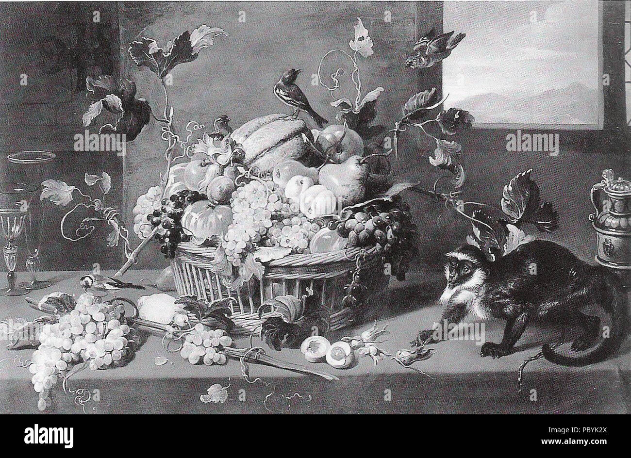 See und vogel hi-res stock photography and images - Alamy