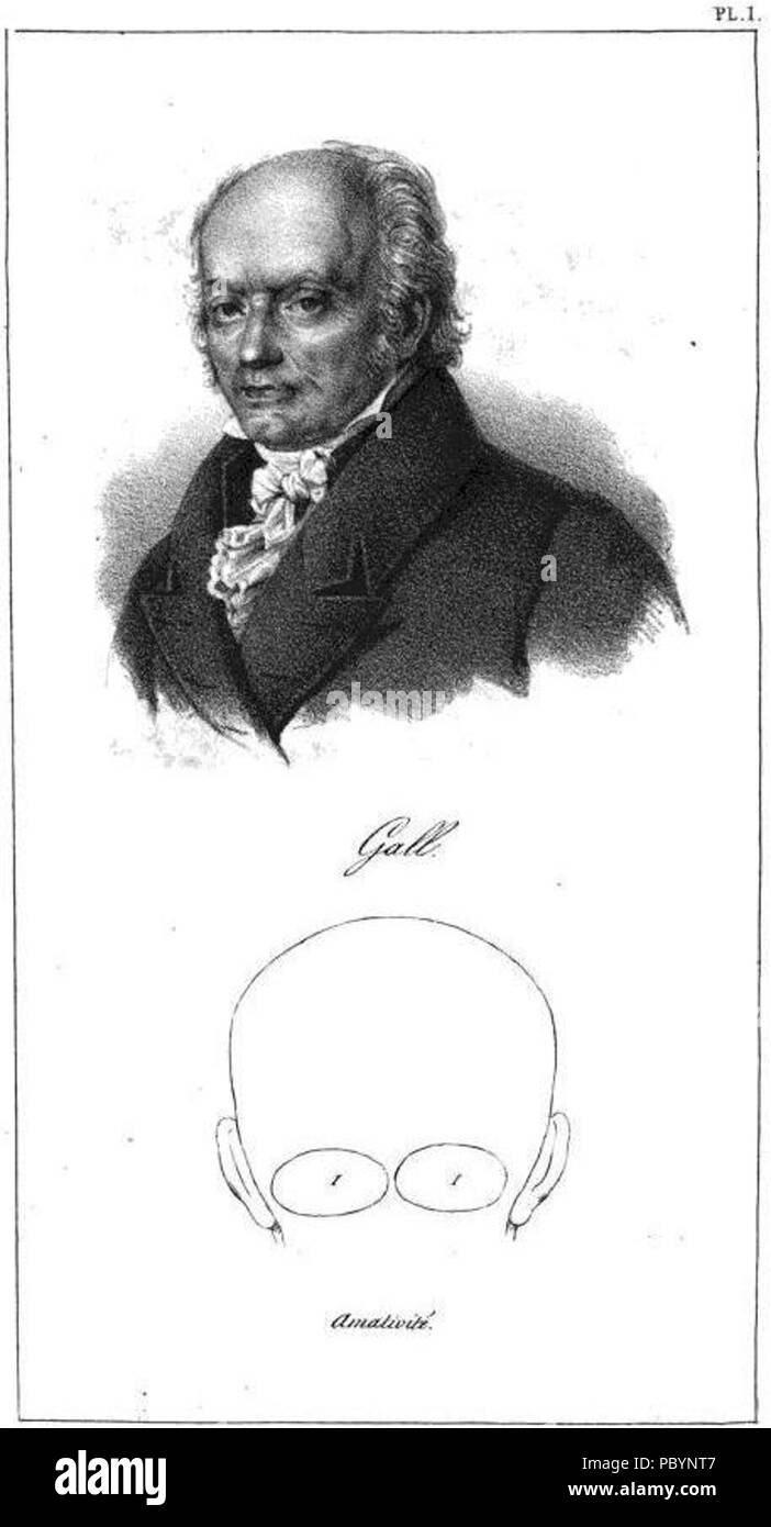 Franz joseph gall skull hi-res stock photography and images - Alamy