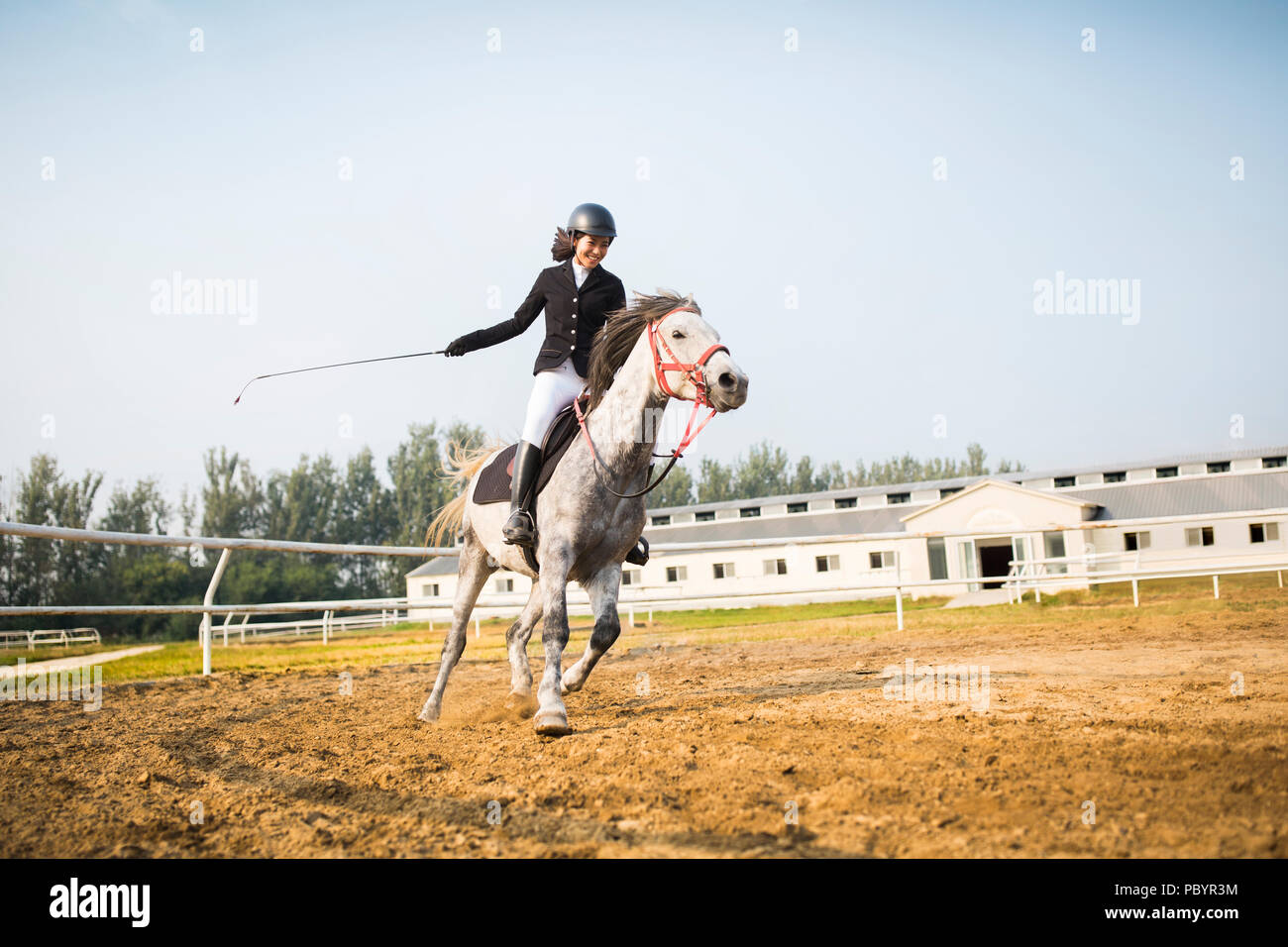 Woman holding riding crop hi-res stock photography and images - Alamy