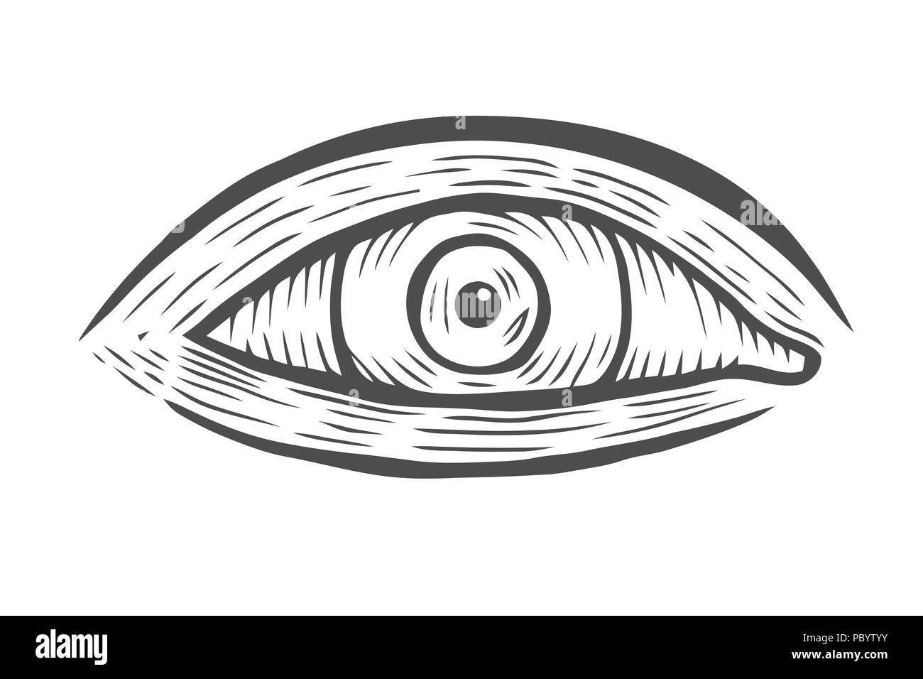 Vector illustration of human eye in engraved style Stock Vector Image ...