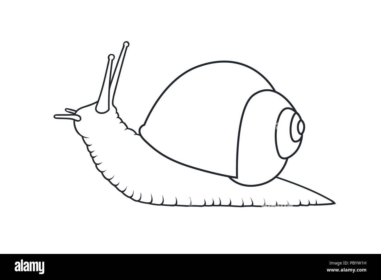 Sketch shell concept isolated on white Vector Stock Vector Image & Art ...