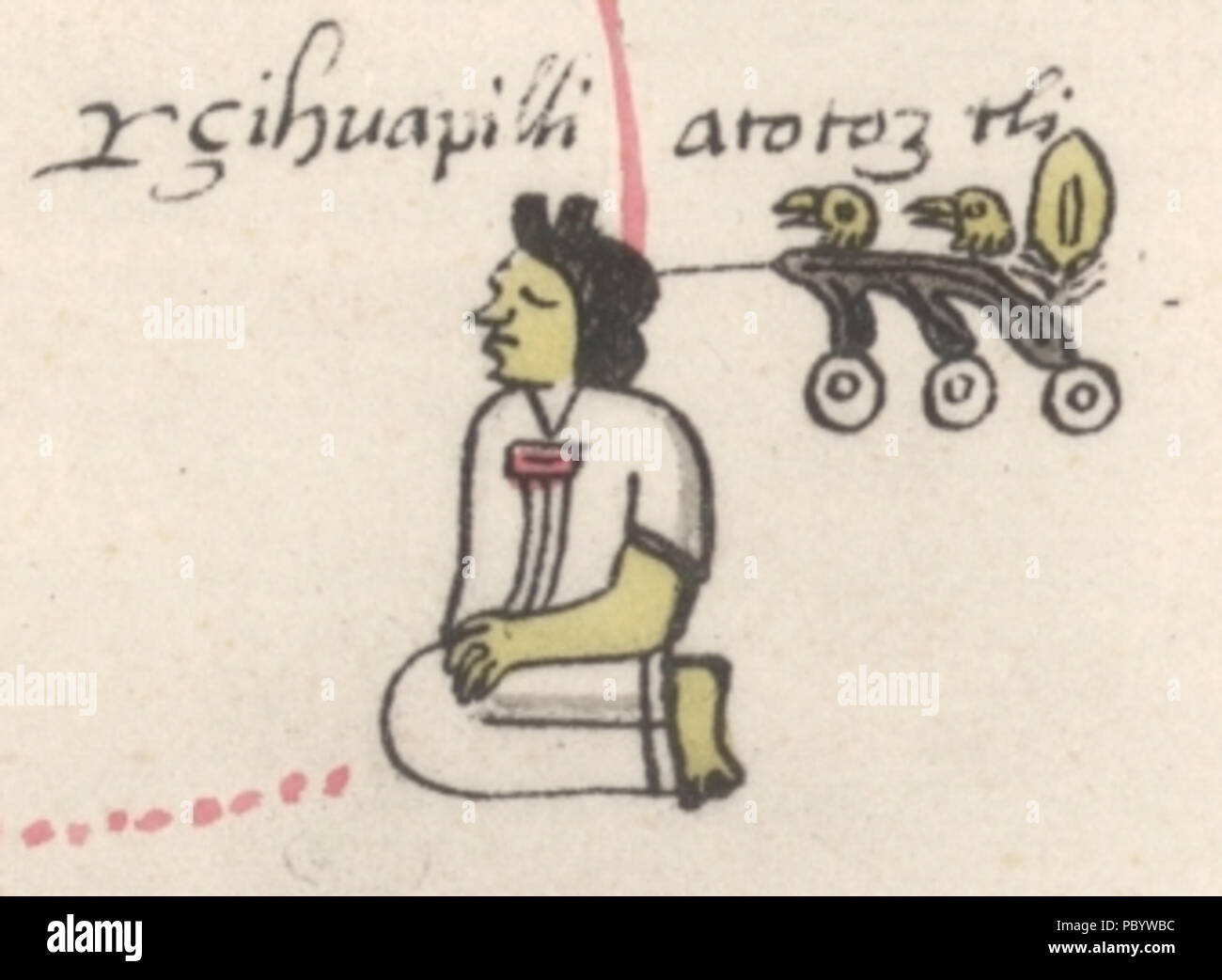 261 Généalogie des seigneurs de Tenochtitlan - fragment - Atotoztli ...