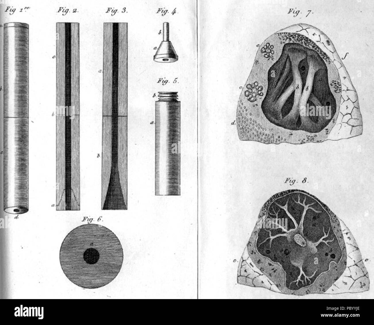 Laennec Stock Photos & Laennec Stock Images - Alamy