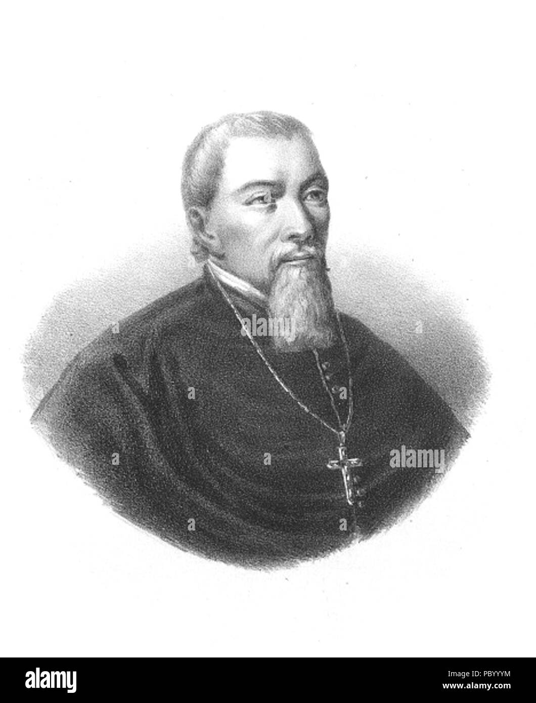 Primate kingdom Cut Out Stock Images & Pictures - Alamy