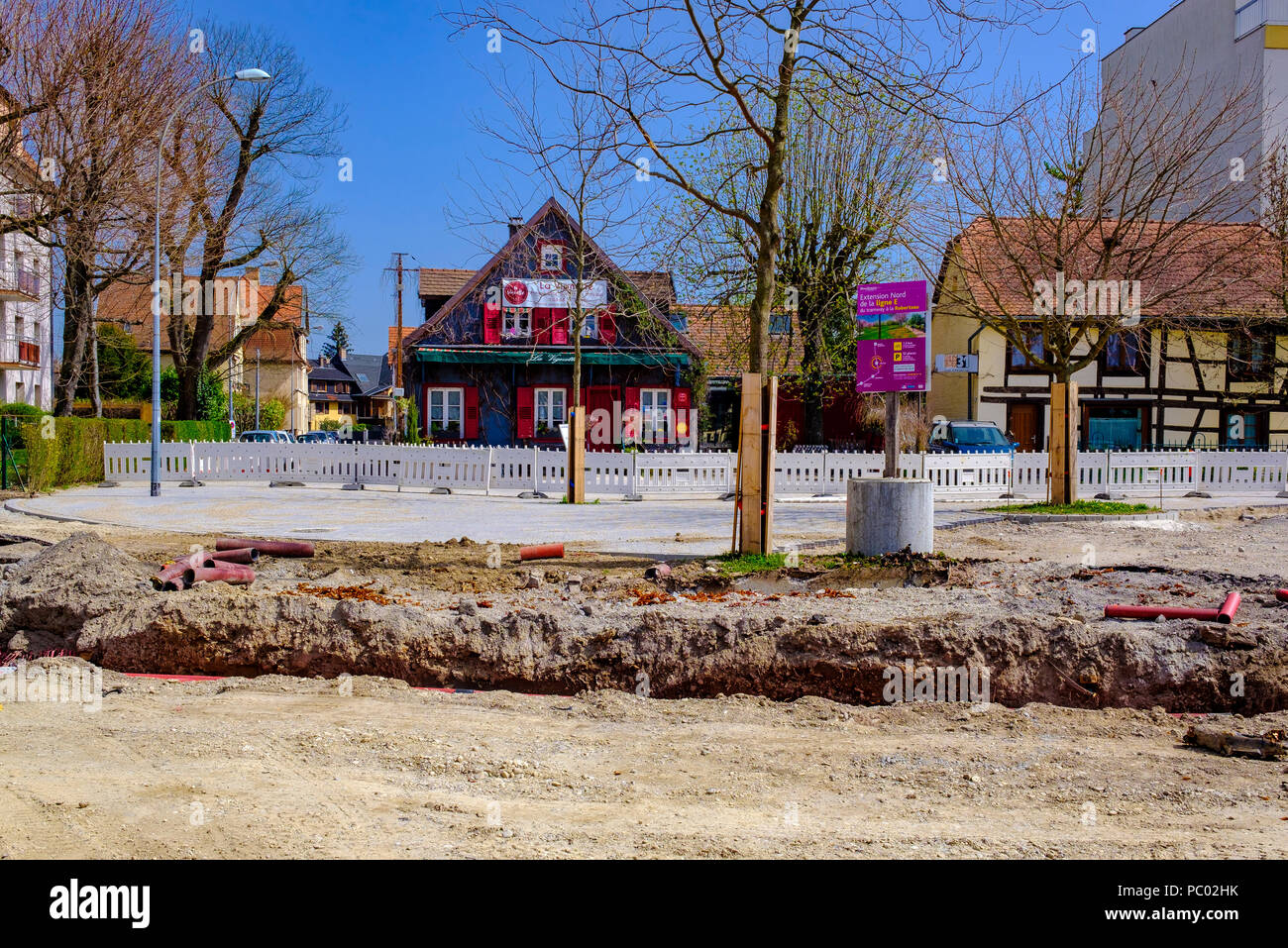 Square trunk tree hi-res stock photography and images - Alamy
