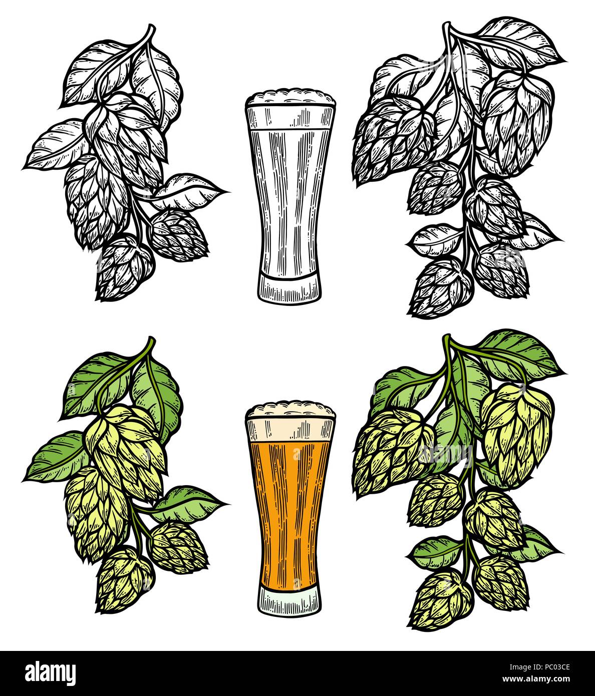 Beer glass mug with hop. Hand drawn isolated beverage object on white ...