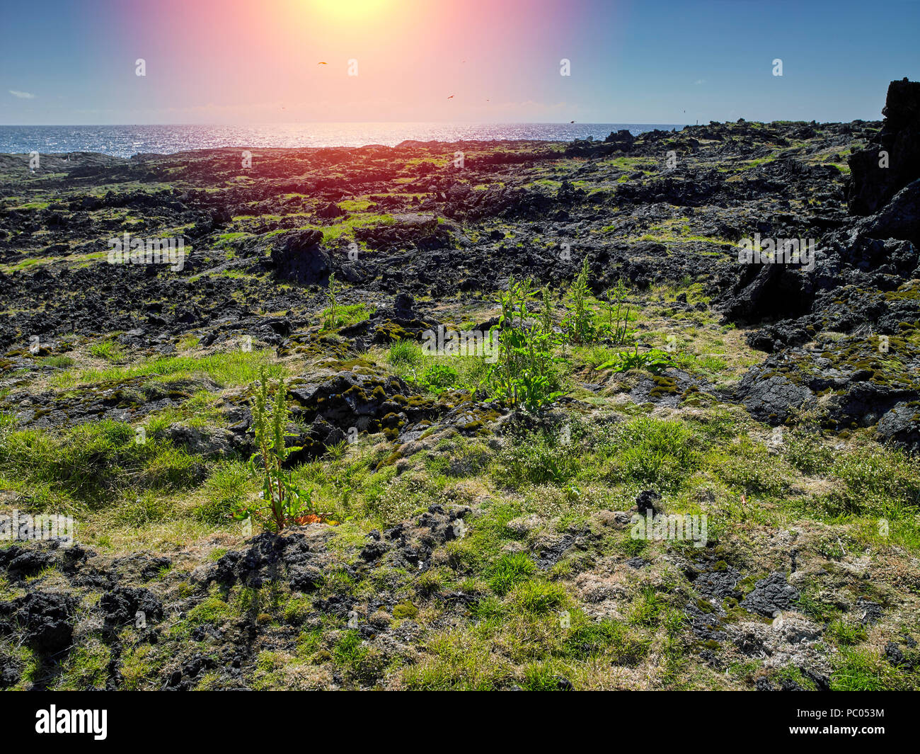 Volcanic island surtsey hi-res stock photography and images - Alamy
