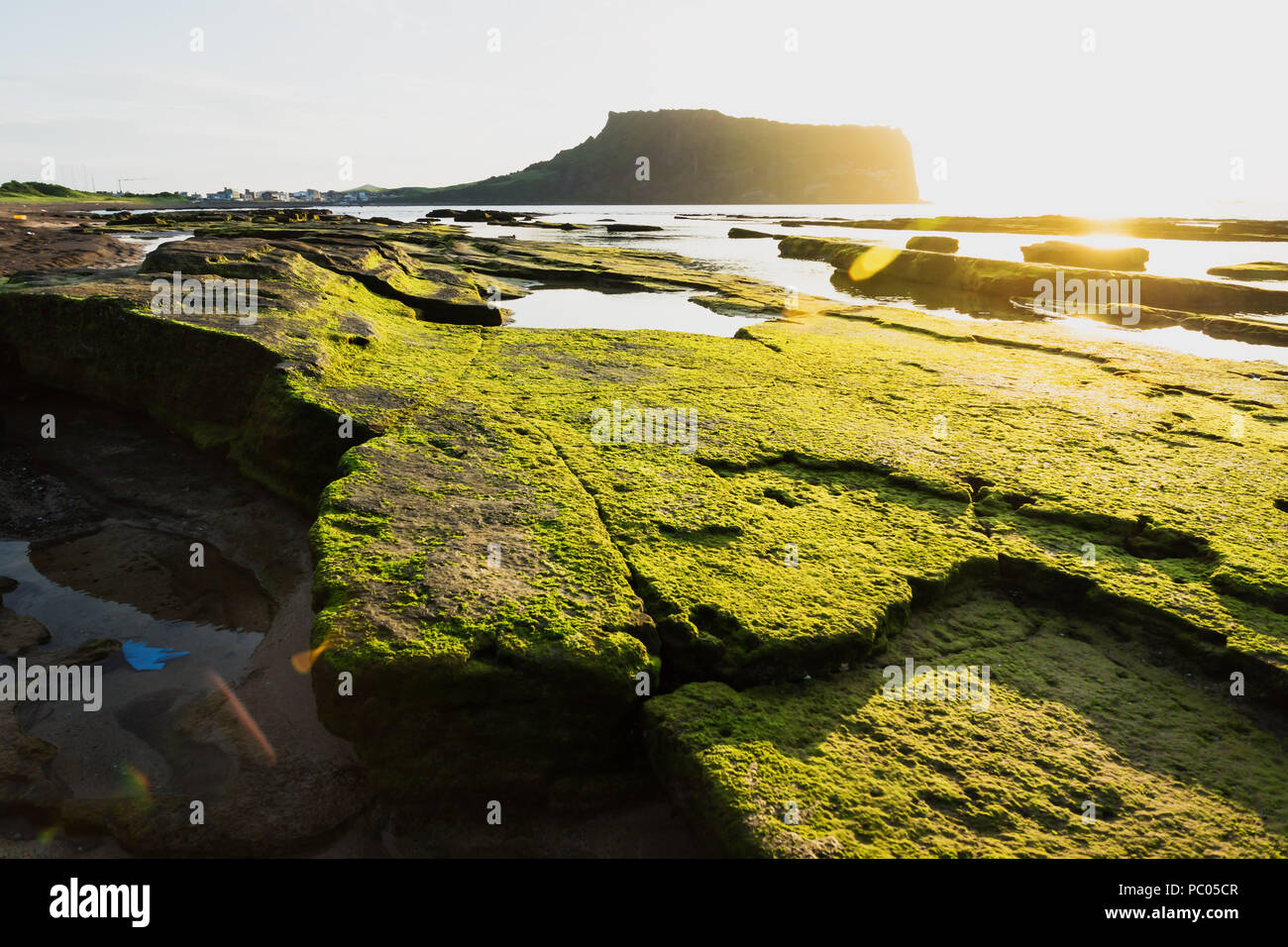 Volcano stones at sunrise at Ilchulbong volcano crater with view over ...