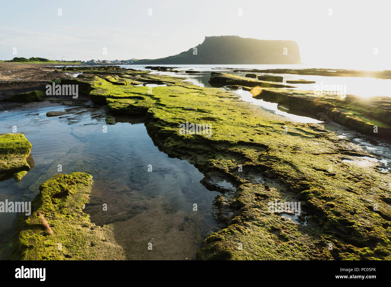Ocean at sunrise at Ilchulbong volcano crater with view over green moss ...