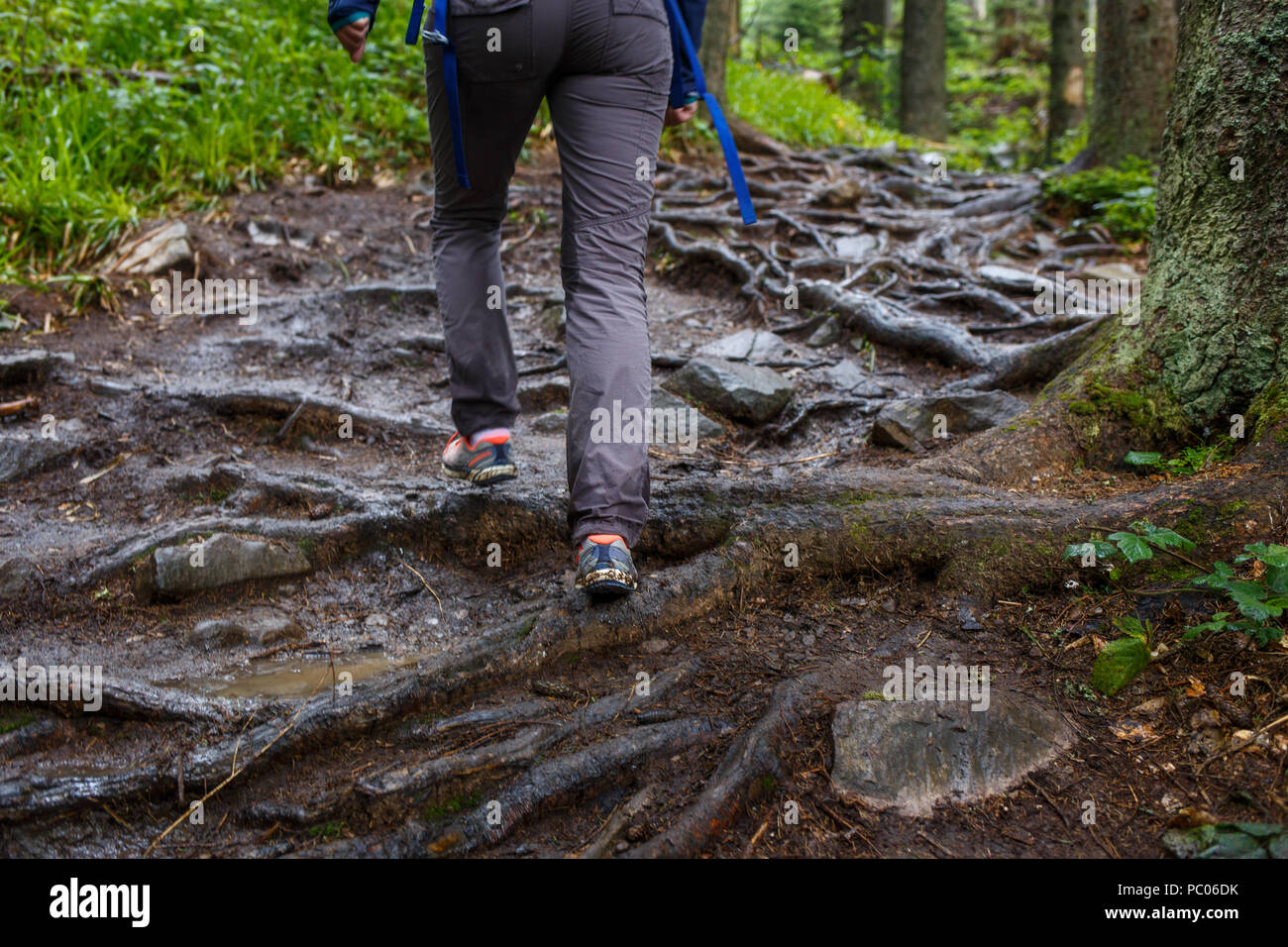 Wet trail hi-res stock photography and images - Alamy