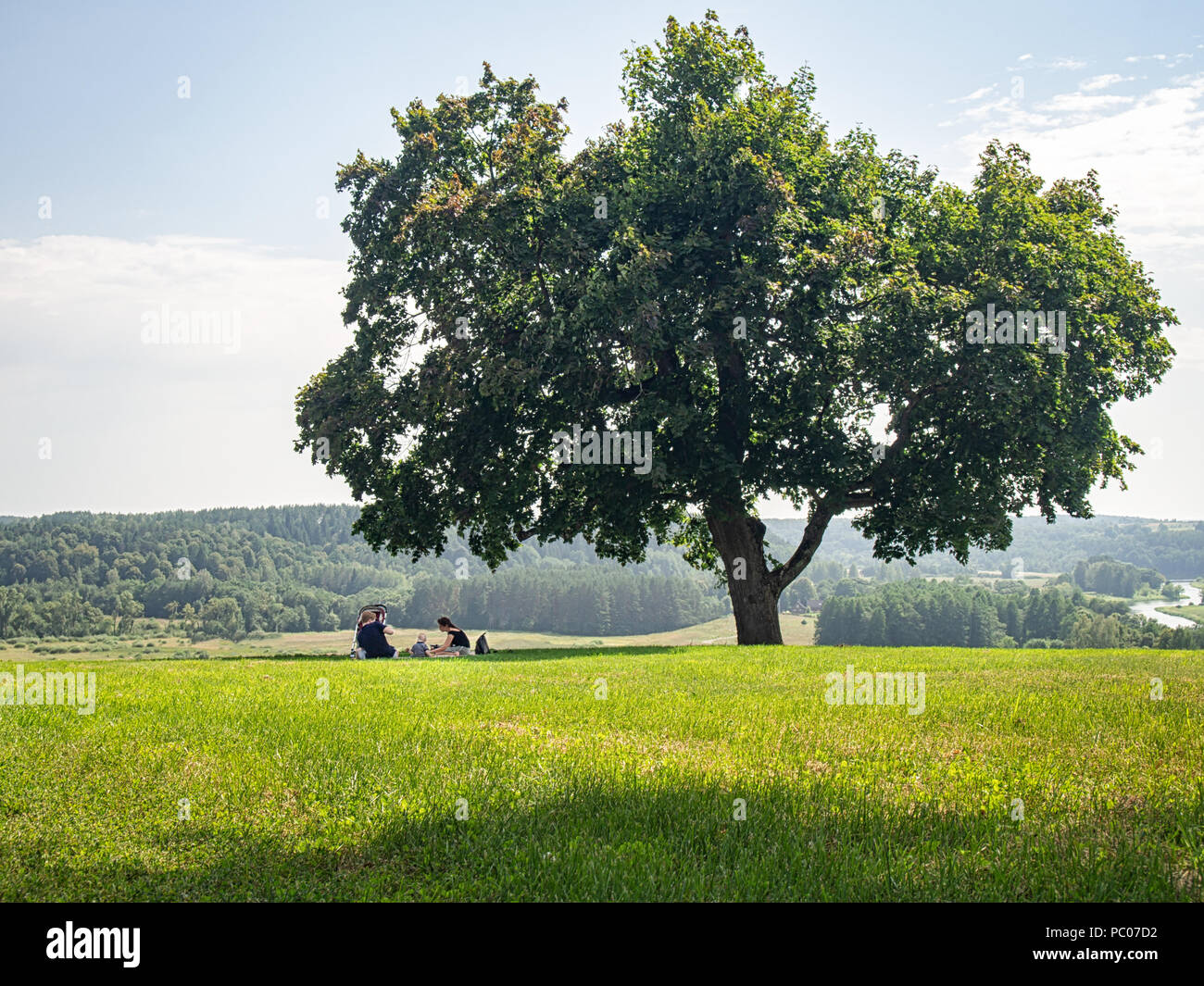 Group people sitting under tree hi-res stock photography and images - Alamy