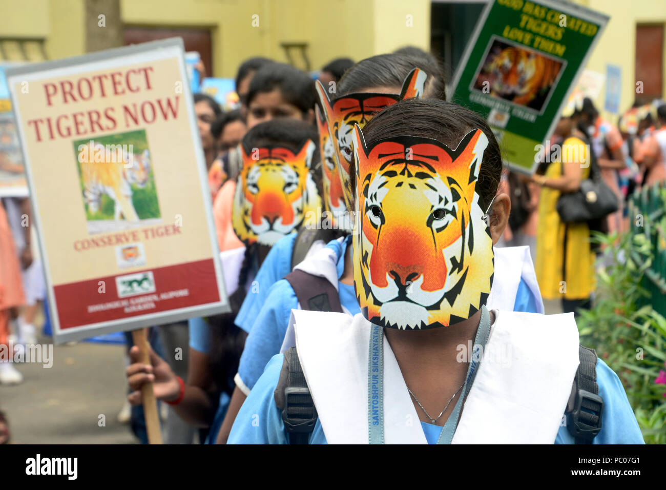 India Tiger Mask High Resolution Stock Photography and Images - Alamy