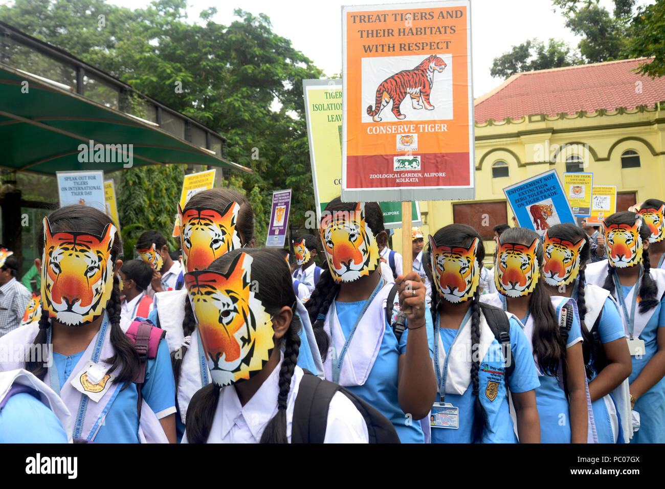 India Tiger Mask High Resolution Stock Photography and Images - Alamy