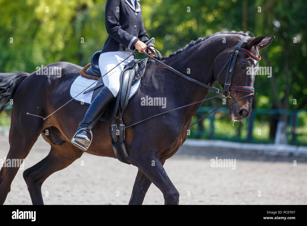 Young girl riding horse on equestrian competition Stock Photo - Alamy
