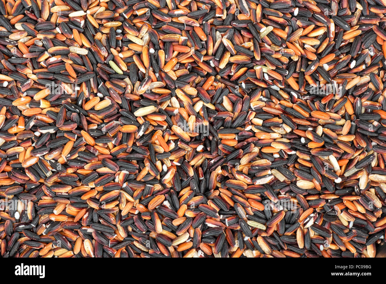 Background of raw wild black rice close-up Stock Photo - Alamy
