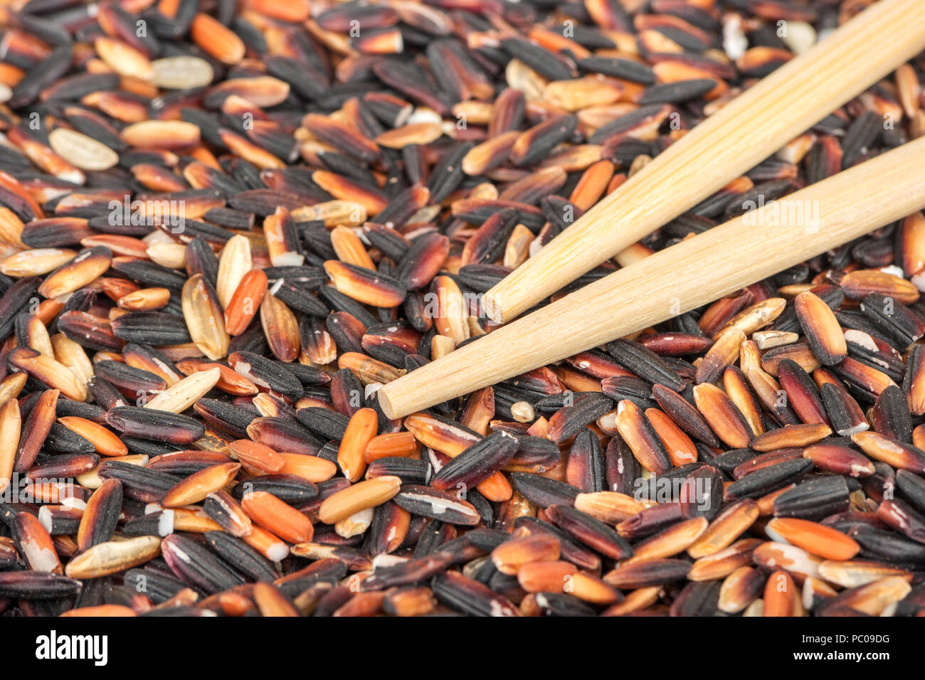 Black wild rice with bamboo sticks close-up Stock Photo - Alamy