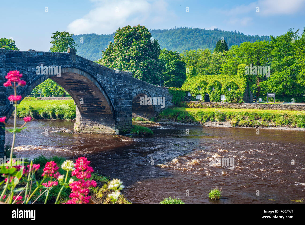 17th century stone bridge over the River Conwy at Llanrwst, with the ...