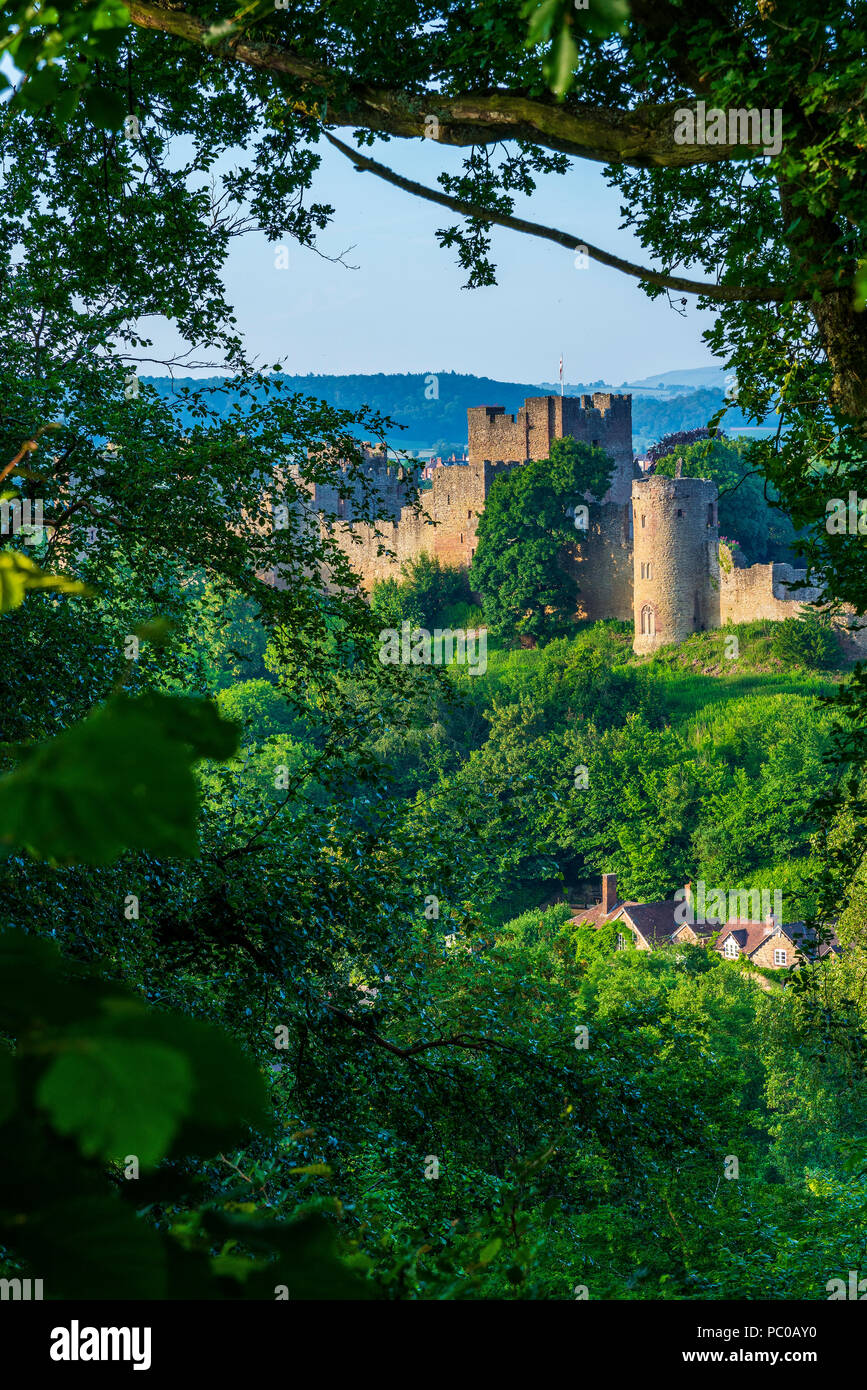 Ludlow Castle, Shropshire, England, United Kingdom, Europe Stock Photo ...