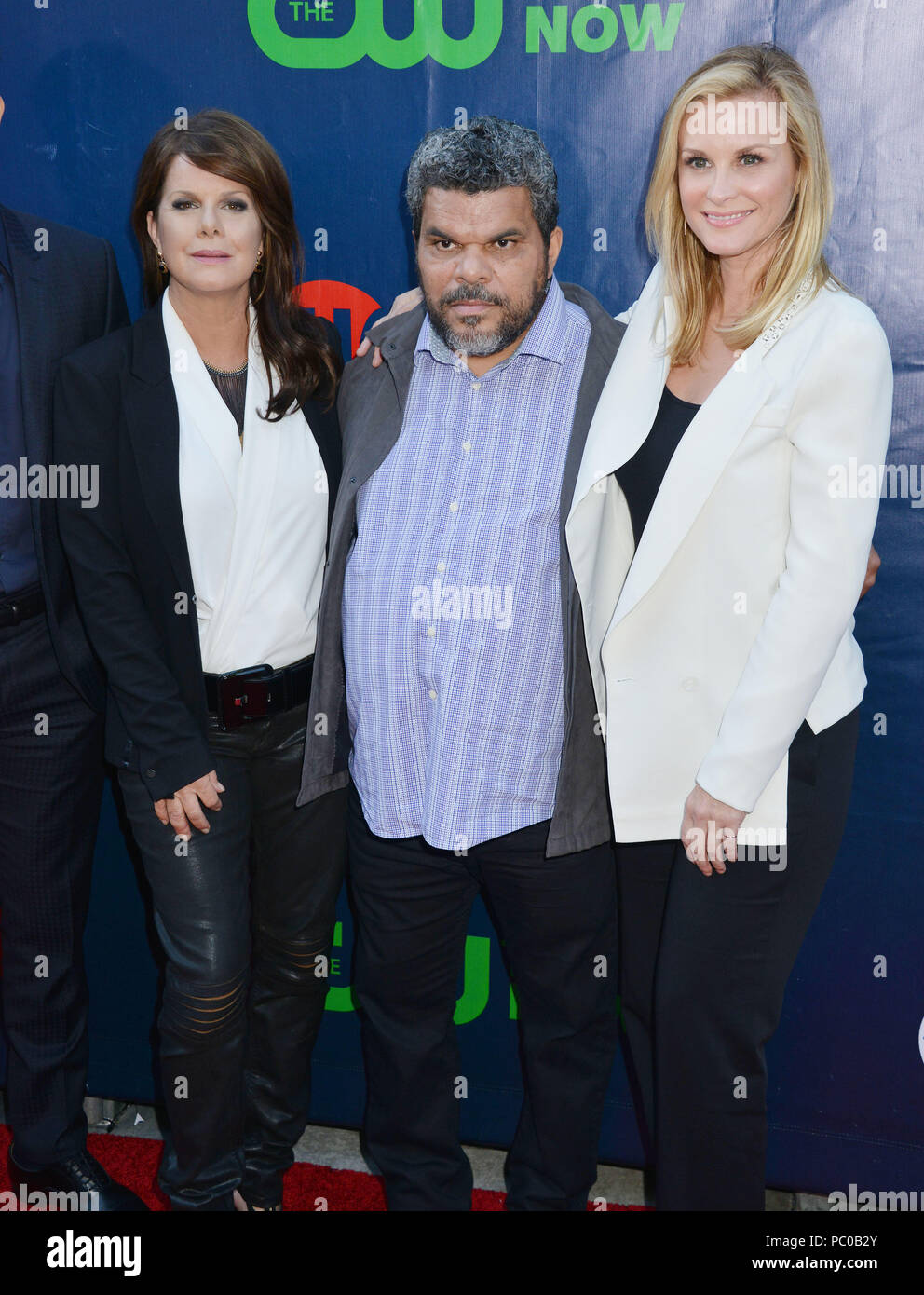 Marcia Gay Harden, Luis Guzman, Bonnie Somerville at the 2015 CBS tca ...