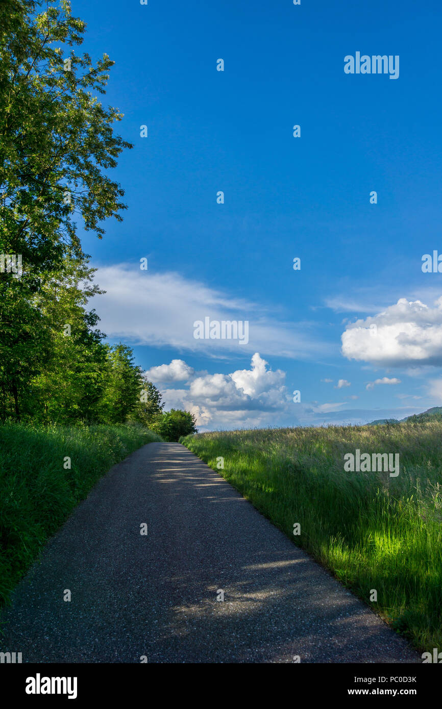 Curved road through summer forest hi-res stock photography and images ...