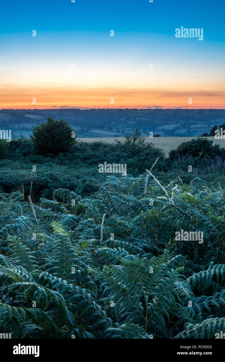 Dumpdon hill hi-res stock photography and images - Alamy