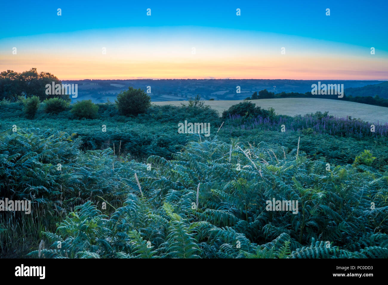 Dumpdon Hill Fort, the beautiful Otter Valley near Beacon, Honiton ...