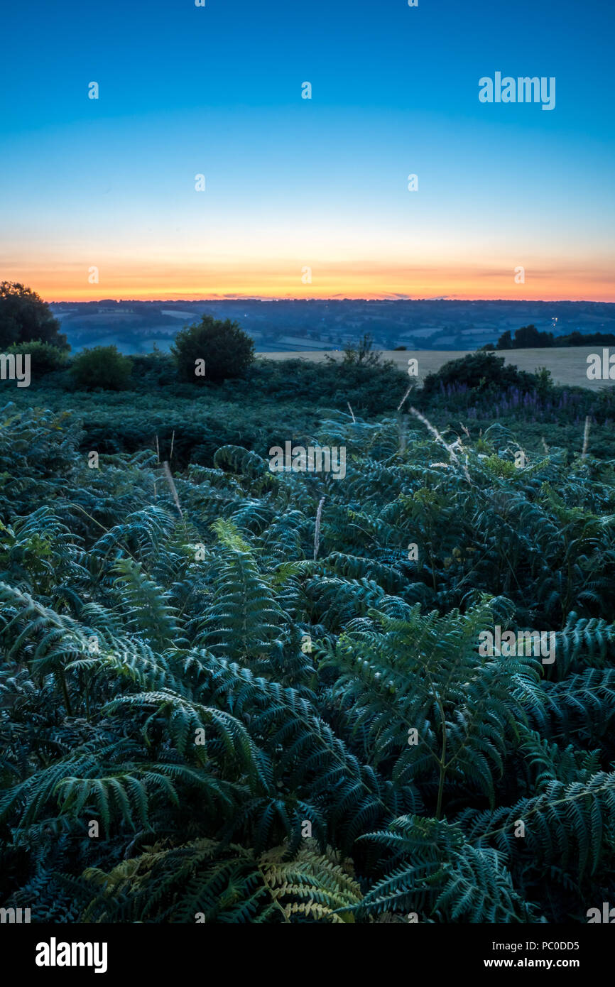 Dumpdon Hill Fort, the beautiful Otter Valley near Beacon, Honiton ...