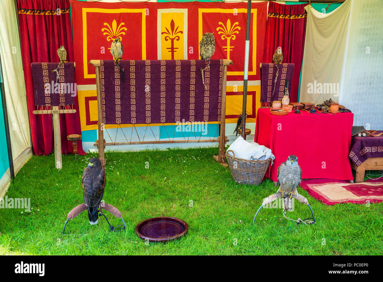 Viroconium cornoviorum hi-res stock photography and images - Alamy